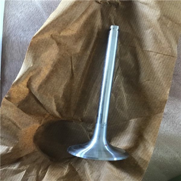 WL / EX / E2500 / B2500 Diesel Engine Intake And Exhaul Valves OEM WL01 ...