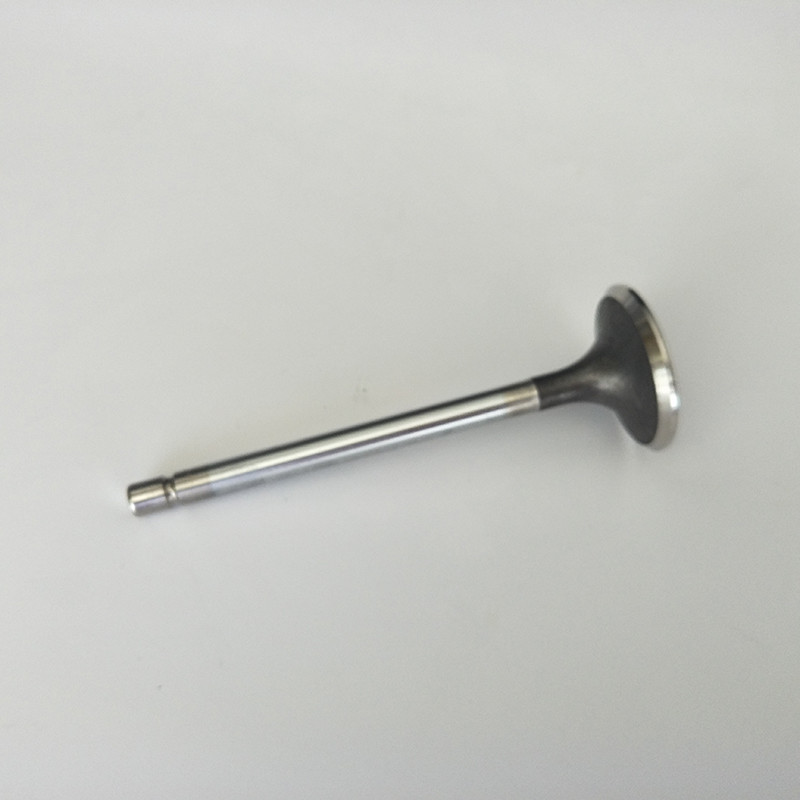 Standard Size Intake And Exhaust Valve For Nissan Z16 Z18 13201-W0401 ...