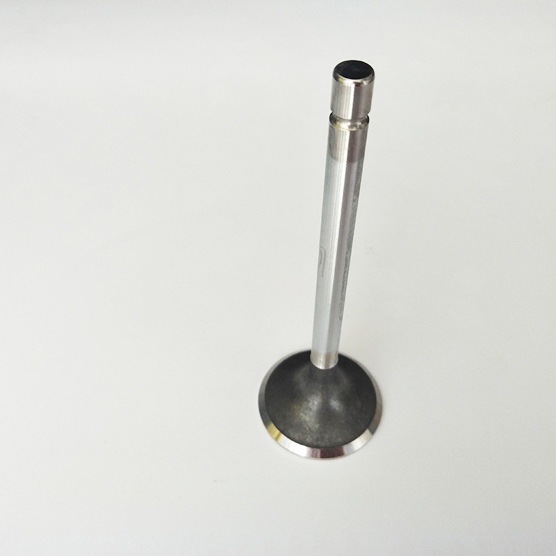 Intake And Exhaust Valve For Nissan CA16 Stainless Steel Engine Valve ...